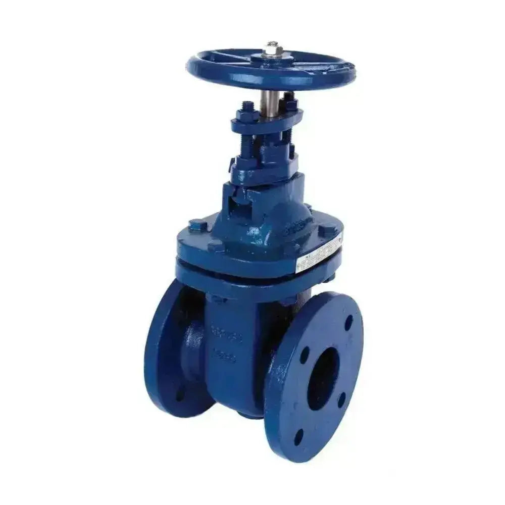 BS10 Table D/E Flanged Gate Valve - High Quality and Durability – AK ...