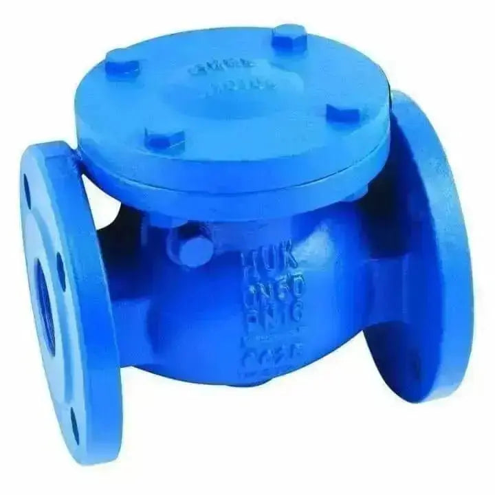 Premium Cast Iron Swing Check Valve - BS5153 – AK Valves Ltd